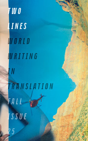 Review: Two Lines 25 World Writing in Translation | The Book Binder's ...