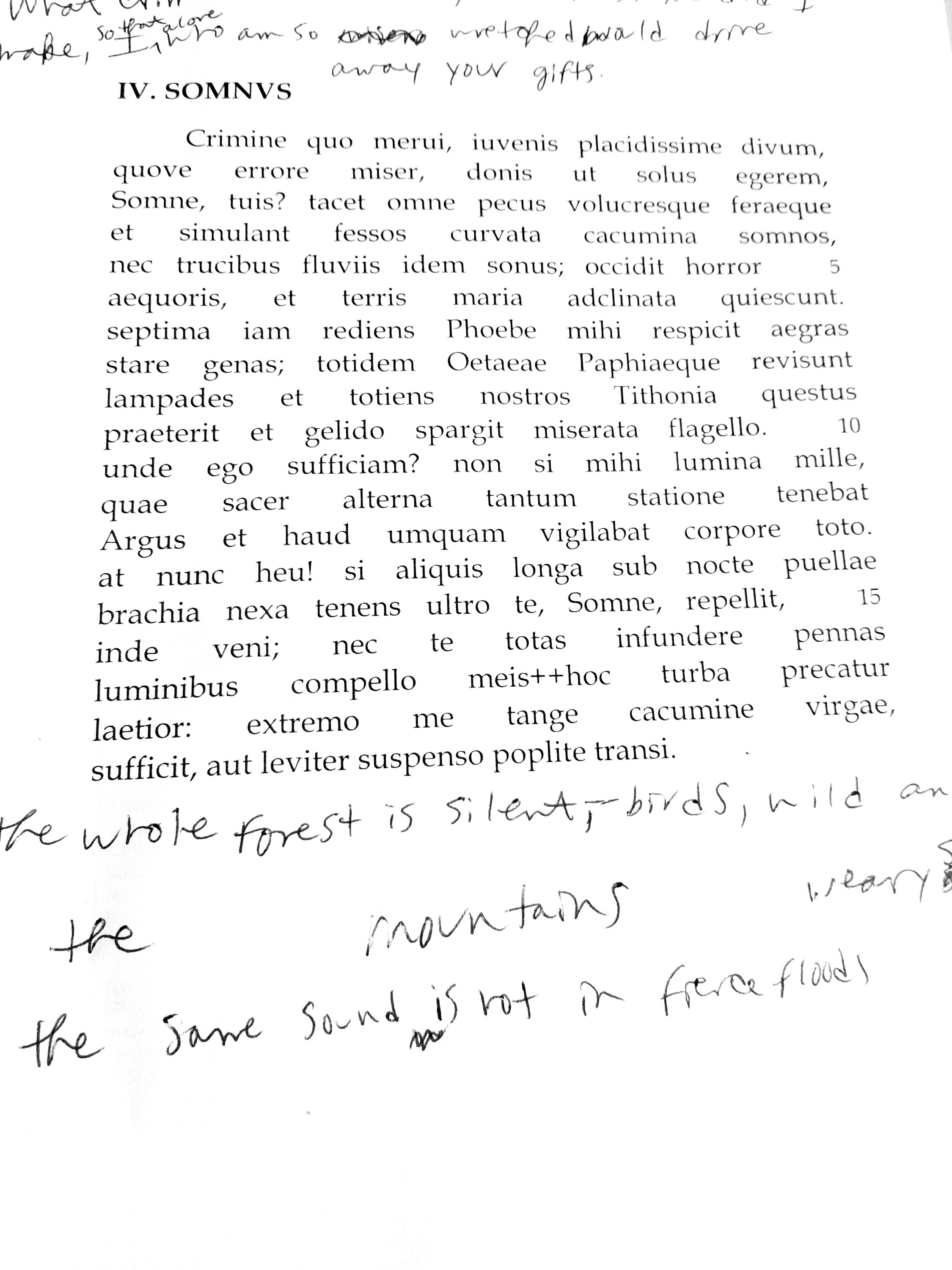 A Plea for some Sleep: Somnus by the Roman Poet Statius | The Book ...