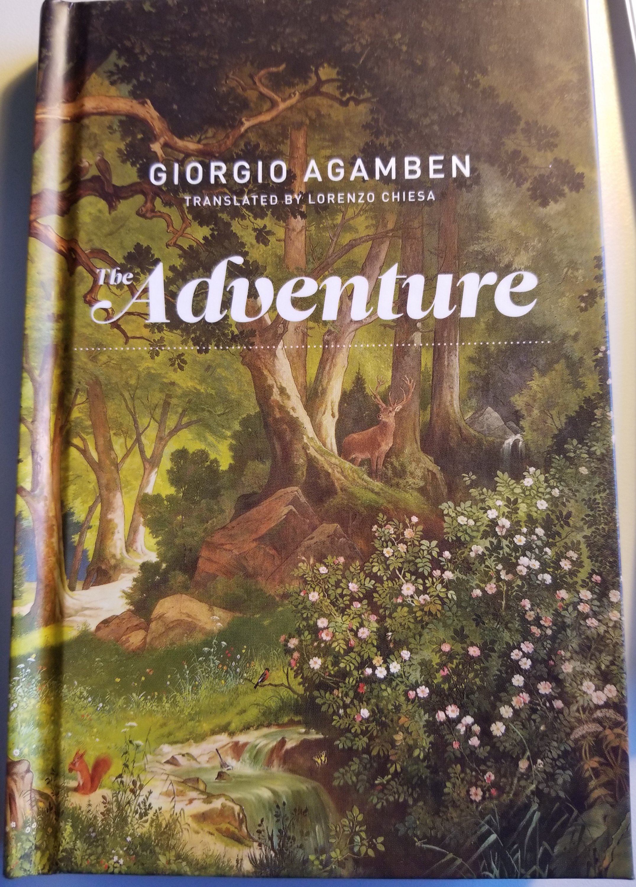 The Adventure by Giorgio Agamben | The Book Binder's Daughter