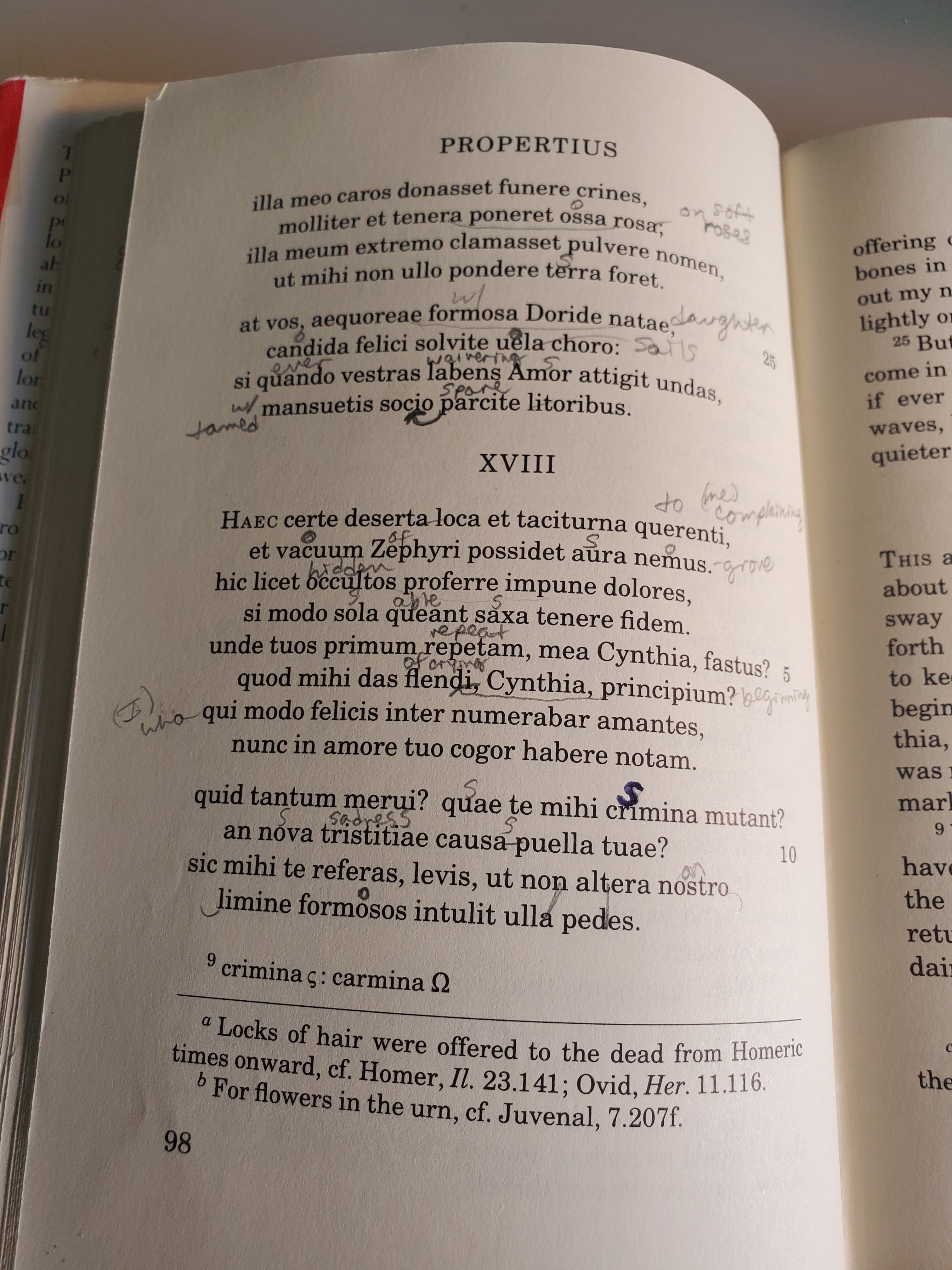 The Poet in Solitude: Propertius 1.18 | The Book Binder's Daughter